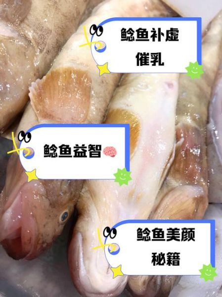 胡子鲶鱼的营养价值_胡子鲶鱼的功效与作用-第1张图片-山城妙识