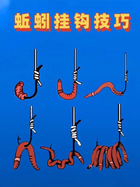 蚯蚓钓鱼绝招_蚯蚓怎么挂钩最诱鱼-第3张图片-山城妙识