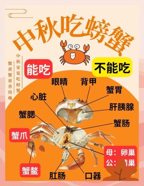 螃蟹哪些部位不能吃_螃蟹不能吃的部位图解-第2张图片-山城妙识