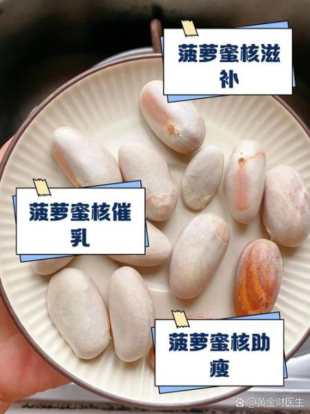 菠萝蜜核能吃吗_菠萝蜜核怎么煮才软糯-第2张图片-山城妙识
