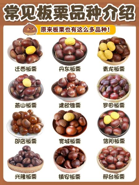 一天吃几个栗子不会胖_减肥期间能吃多少栗子-第1张图片-山城妙识