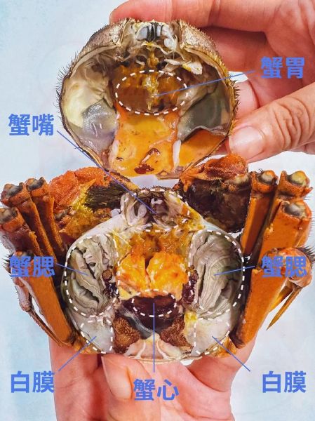 螃蟹哪些部位不能吃_螃蟹不能吃的部位图解-第1张图片-山城妙识