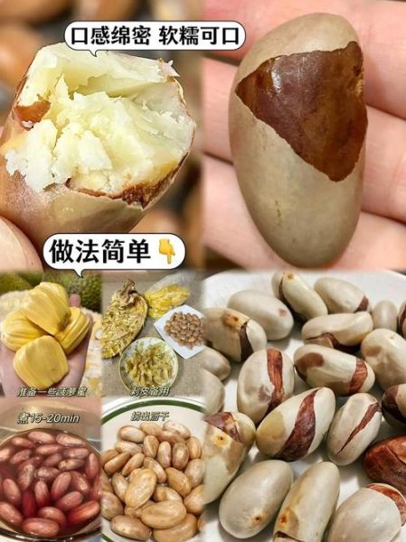 菠萝蜜核能吃吗_菠萝蜜核怎么煮才软糯-第3张图片-山城妙识