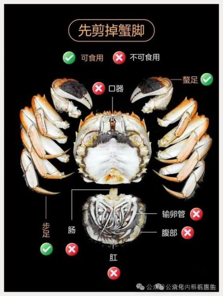螃蟹哪些部位不能吃_螃蟹不能吃的部位图解-第3张图片-山城妙识