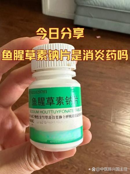 鱼腥草要吃几天消炎_鱼腥草消炎吃多久见效-第3张图片-山城妙识