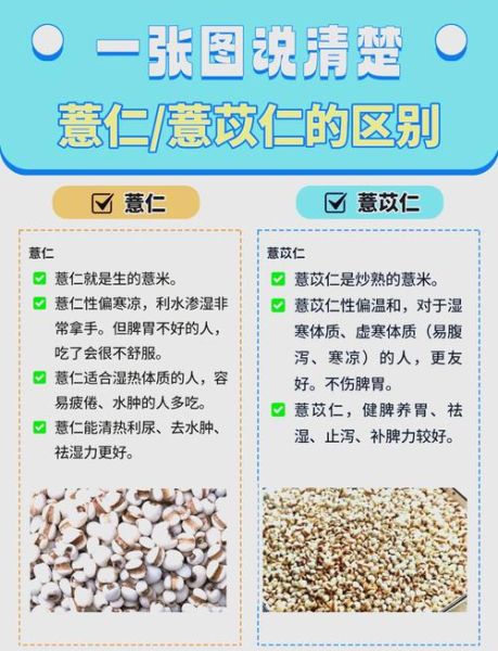薏米和薏仁有什么区别_薏米与薏仁功效一样吗-第1张图片-山城妙识
