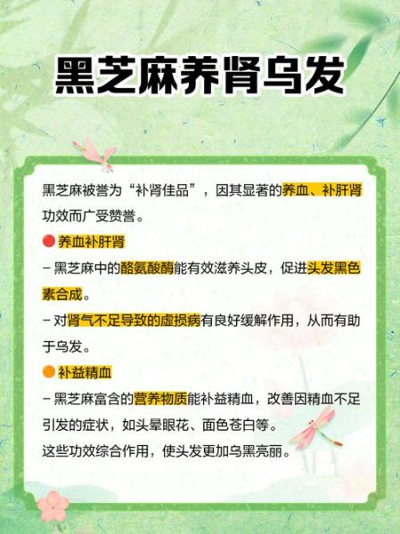 黑芝麻的功效与作用及禁忌_黑芝麻怎么吃最补肾-第3张图片-山城妙识