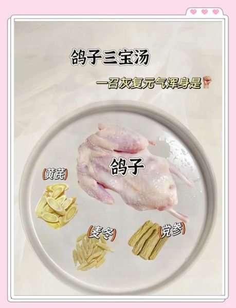 鸽子汤怎么炖最补_炖鸽子汤用什么药材-第3张图片-山城妙识