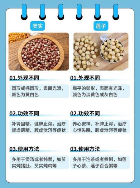 芡实怎么读_芡实功效与作用-第2张图片-山城妙识
