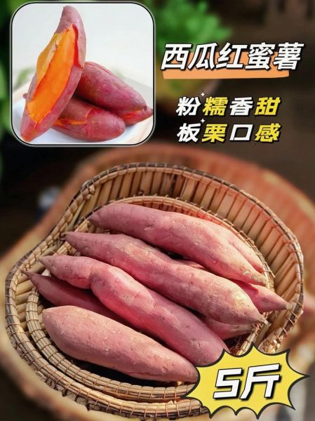 红瓜是什么_红瓜怎么吃最好-第2张图片-山城妙识