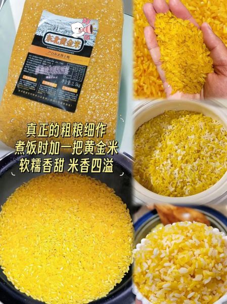 黄金米怎么煮_黄金米适合什么人吃-第3张图片-山城妙识