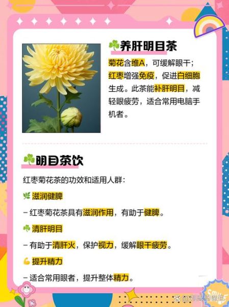 菊花红枣茶什么人不能喝_孕妇可以喝吗-第3张图片-山城妙识