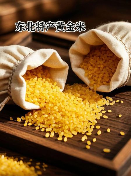 黄金米怎么煮_黄金米适合什么人吃-第2张图片-山城妙识