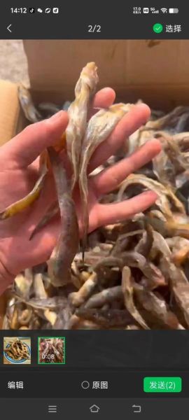 野生狗鱼怎么做好吃_野生狗鱼去腥技巧-第3张图片-山城妙识
