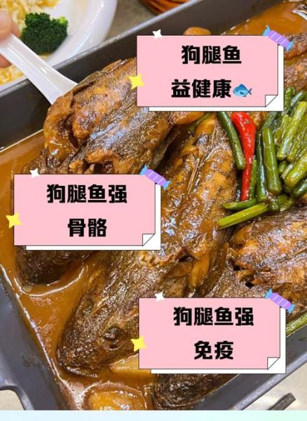 野生狗鱼怎么做好吃_野生狗鱼去腥技巧-第2张图片-山城妙识