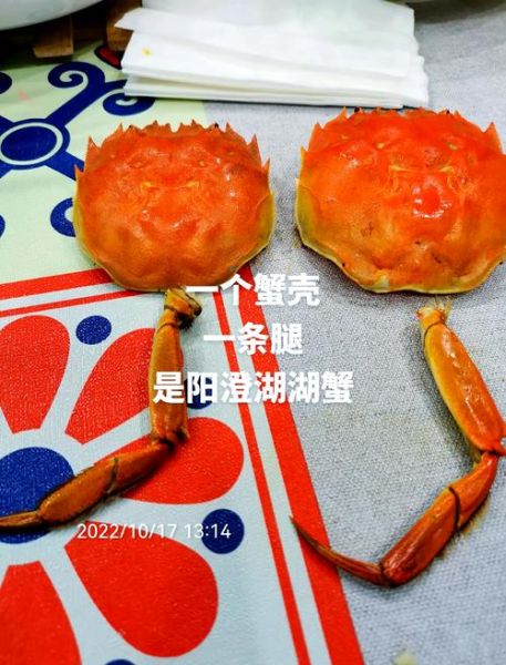 阳澄湖大闸蟹怎么看正宗_如何辨别真假-第3张图片-山城妙识