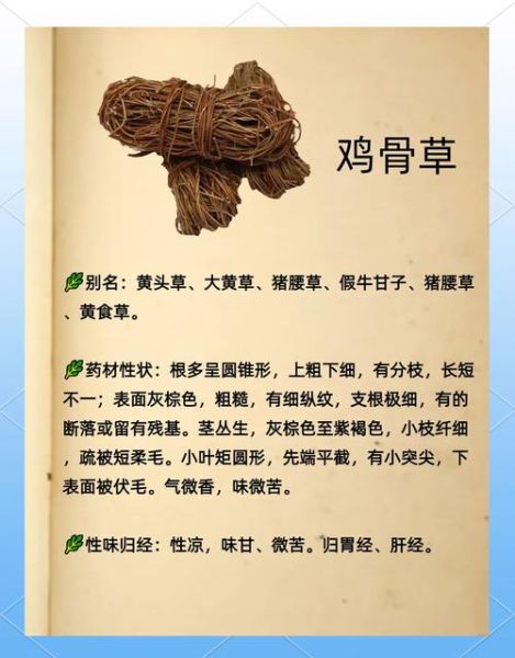 鸡骨草片的功效与作用_鸡骨草片适合什么人吃-第2张图片-山城妙识
