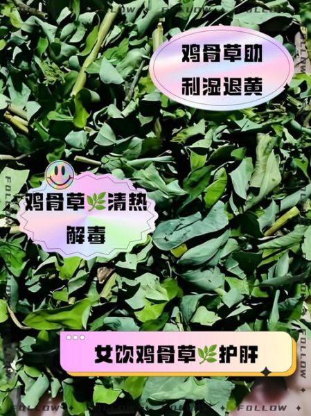 鸡骨草片的功效与作用_鸡骨草片适合什么人吃-第3张图片-山城妙识