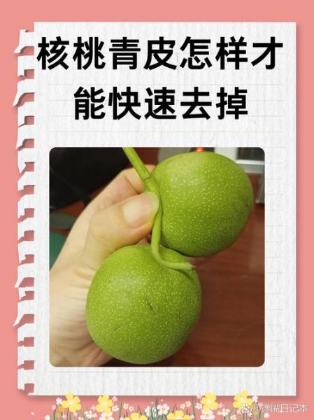 青核桃皮有毒吗_误食怎么办-第1张图片-山城妙识