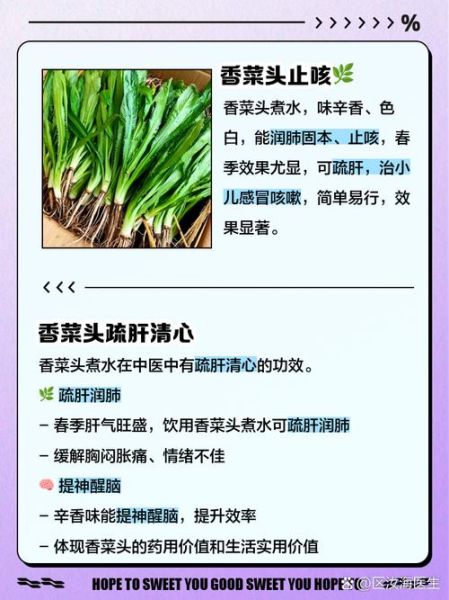 香菜煮水的功效与禁忌_孕妇能喝吗-第3张图片-山城妙识 香菜煮水的功效与禁忌_孕妇能喝吗-第3张图片-山城妙识