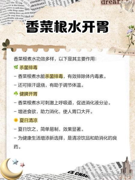 香菜煮水的功效与禁忌_孕妇能喝吗-第2张图片-山城妙识 香菜煮水的功效与禁忌_孕妇能喝吗-第2张图片-山城妙识