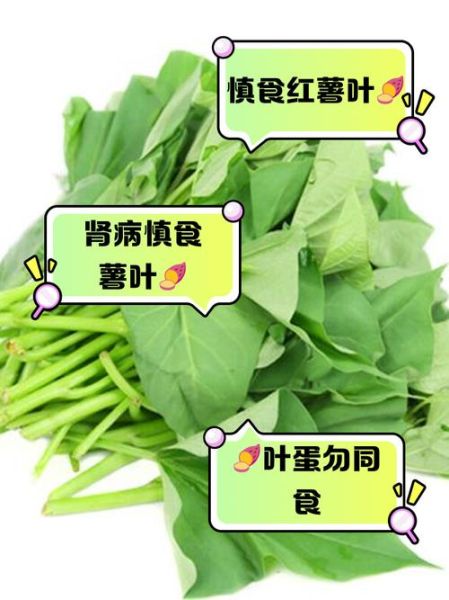 红薯叶子不能和什么一起吃_红薯叶子哪些人不能吃-第3张图片-山城妙识