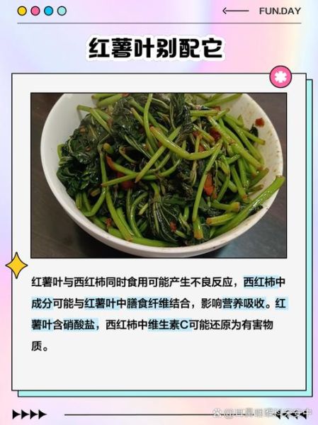 红薯叶子不能和什么一起吃_红薯叶子哪些人不能吃-第2张图片-山城妙识