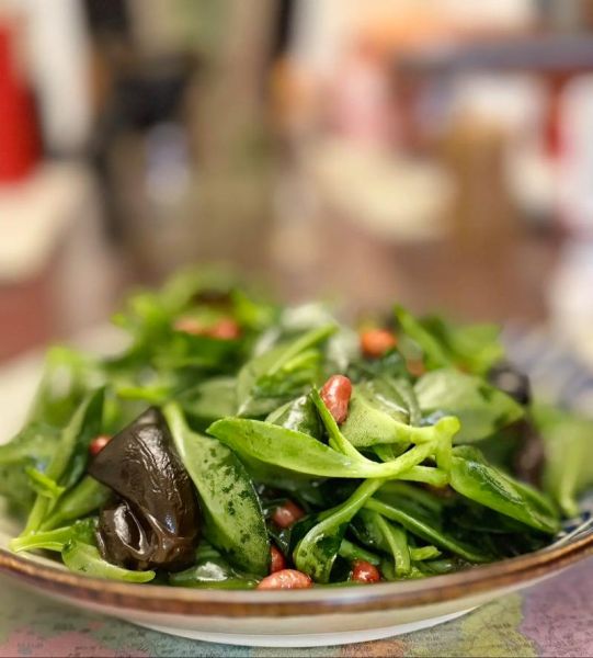 穿心莲菜怎么炒好吃_穿心莲菜凉拌做法-第2张图片-山城妙识