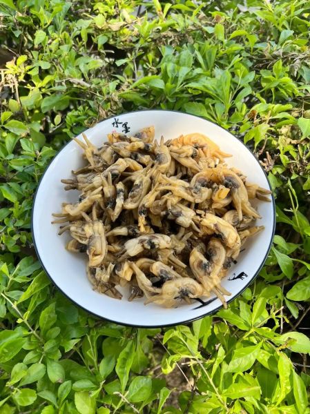 蛏子干怎么泡发_蛏子干的做法大全-第2张图片-山城妙识
