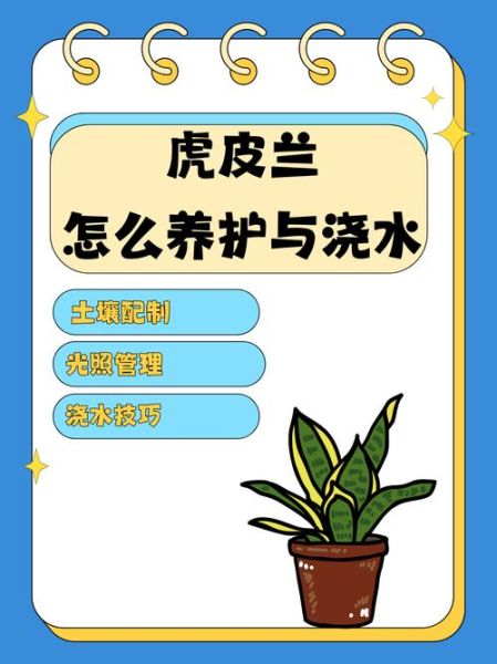 虎皮兰怎么养_虎皮兰多久浇一次水-第1张图片-山城妙识