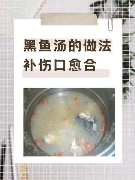 黑鱼汤怎么做_黑鱼汤的做法步骤-第1张图片-山城妙识