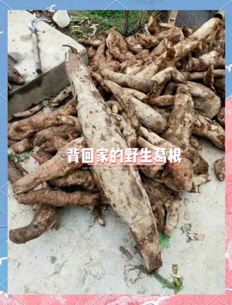 葛粉怎么泡才正确_葛粉冲泡的正确方法-第1张图片-山城妙识