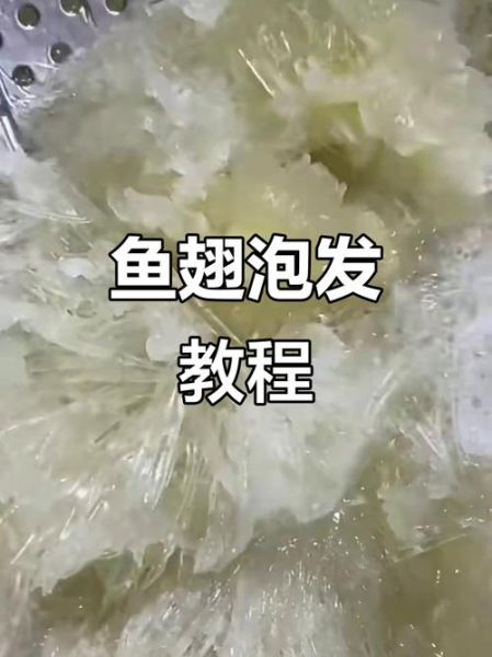 鱼翅怎么泡发_鱼翅最简单的家常做法-第2张图片-山城妙识