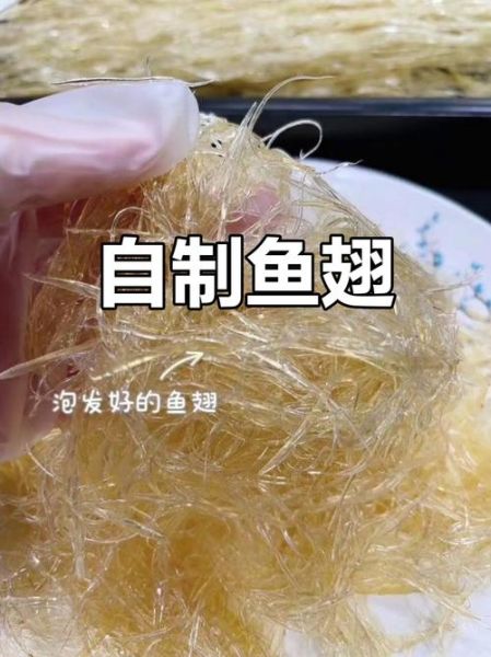 鱼翅怎么泡发_鱼翅最简单的家常做法-第1张图片-山城妙识