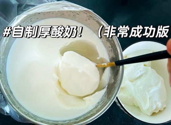 酸奶的制作方法视频_自制酸奶需要准备什么-第1张图片-山城妙识