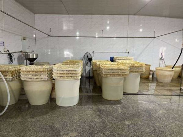 豆腐加工厂投资多少钱_小型豆腐厂成本明细-第1张图片-山城妙识