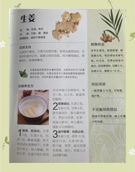 姜的功效与作用有哪些_生姜怎么吃最养生-第1张图片-山城妙识