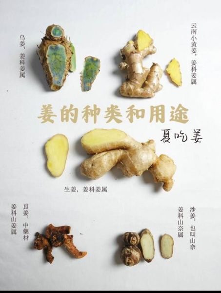 姜的功效与作用有哪些_生姜怎么吃最养生-第2张图片-山城妙识