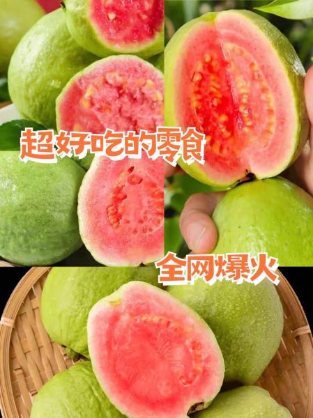 草莓丝瓜芭乐未满十八岁能吃吗_草莓丝瓜芭乐适合青少年吗-第1张图片-山城妙识