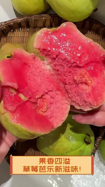 草莓丝瓜芭乐未满十八岁能吃吗_草莓丝瓜芭乐适合青少年吗-第2张图片-山城妙识