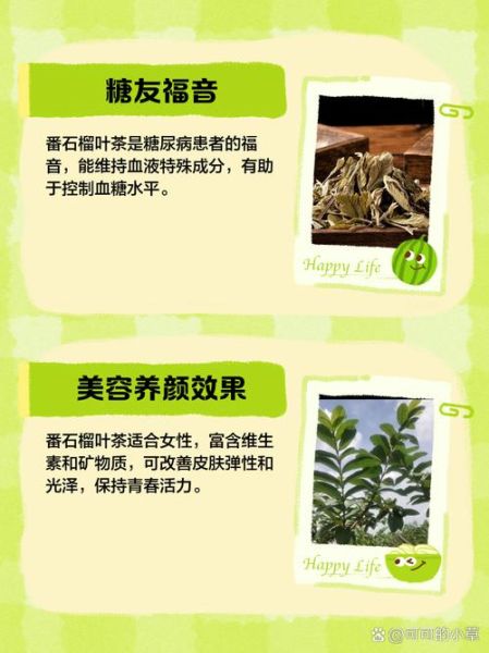 番石榴叶泡水喝的功效_番石榴叶茶怎么喝才有效-第2张图片-山城妙识