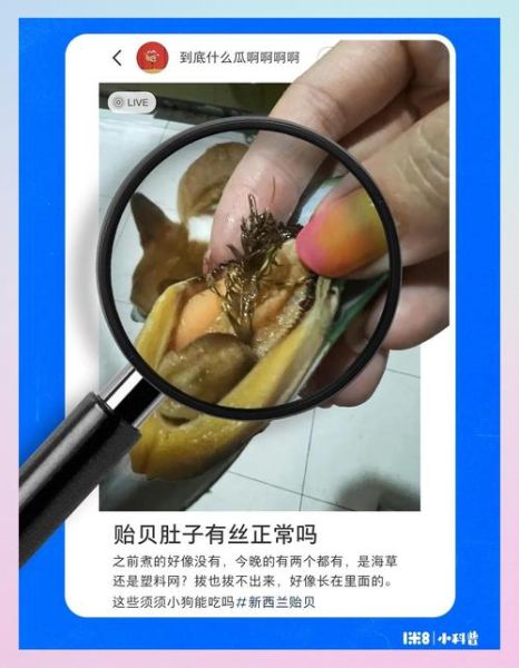 贻贝怎么清洗_贻贝和青口贝的区别-第1张图片-山城妙识