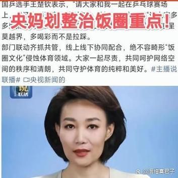 饭圈乱象怎么整治_粉丝控评如何根治-第1张图片-山城妙识