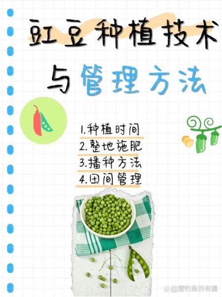 豇豆怎么种_豇豆种植技术与管理-第1张图片-山城妙识