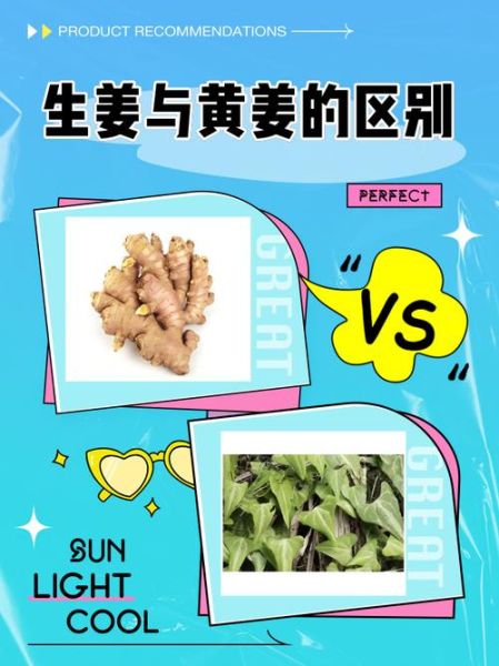 姜黄是生姜吗_姜黄和生姜的区别-第1张图片-山城妙识