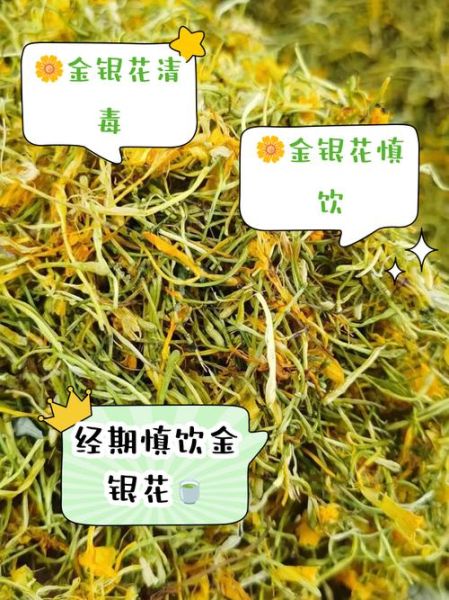 金银花有什么功效_金银花泡水喝的功效与禁忌-第3张图片-山城妙识