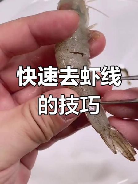 虾线是什么_虾线怎么去除-第3张图片-山城妙识 虾线是什么_虾线怎么去除-第3张图片-山城妙识