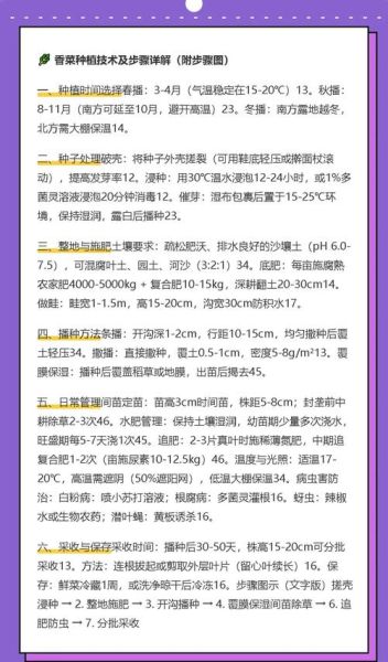 香菜种植技术_香菜多久可以收获-第1张图片-山城妙识