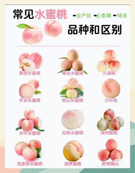 桃子的营养价值有哪些_吃桃子有什么好处-第1张图片-山城妙识