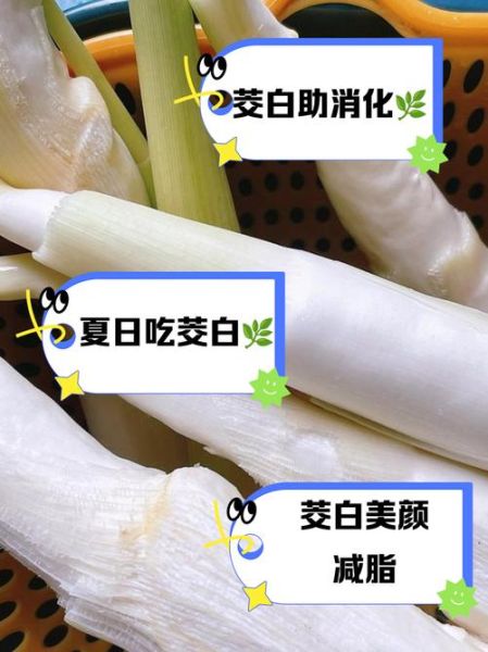 茭白有什么营养价值_茭白功效与作用有哪些-第3张图片-山城妙识